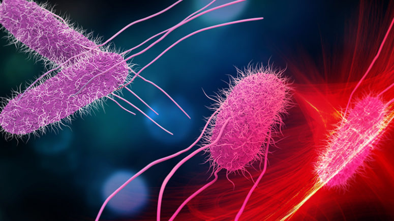 First Product Approved to Control Disease-Causing Bacterial Toxins ...